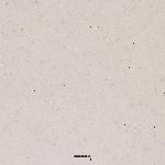 Photo Gallery | Midwest Manufacturing